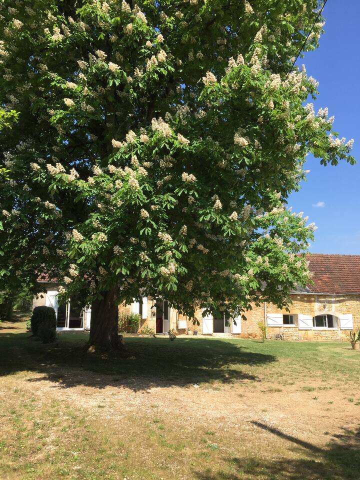 Maison De Campagne - Souillac
