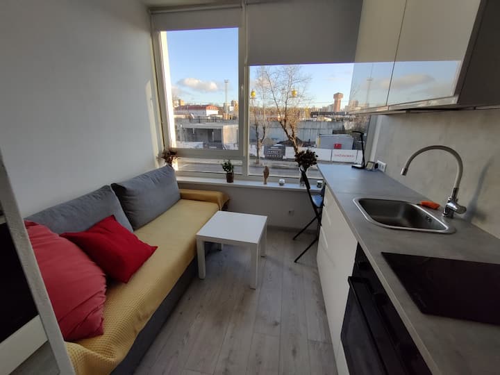 Cosy 1-bedroom App In City Center - Vilna