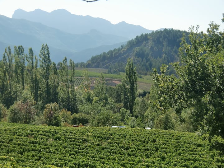 Gite Du Petit Viopis Maison De Campagne. - Vercheny
