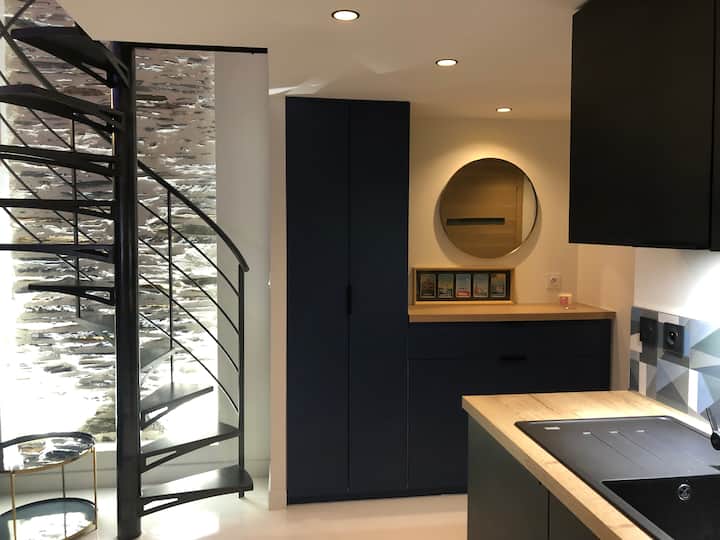Duplex Climatisé De Clément - Angers