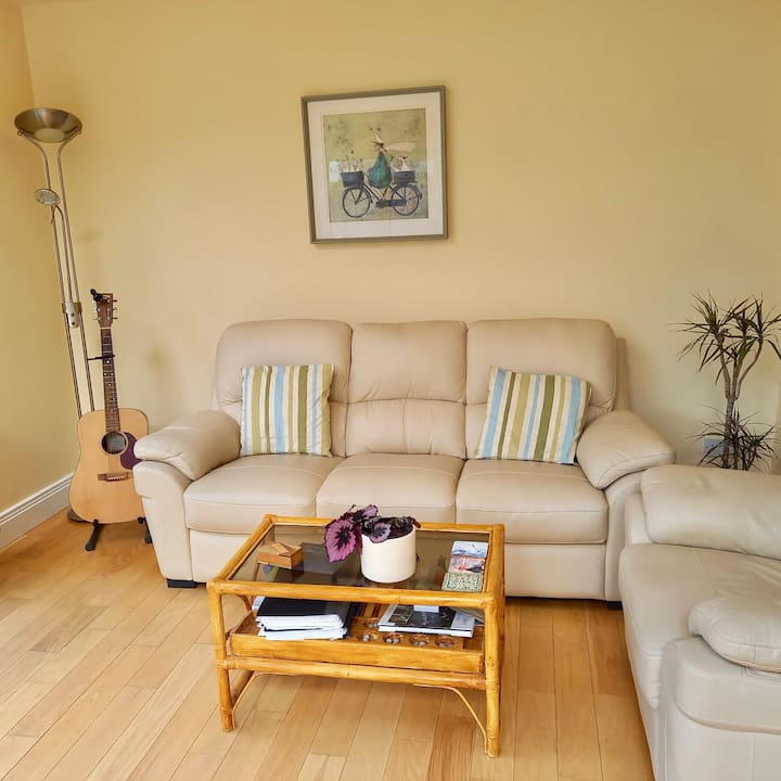 Private Double Room In A Spacious House. - Limerick