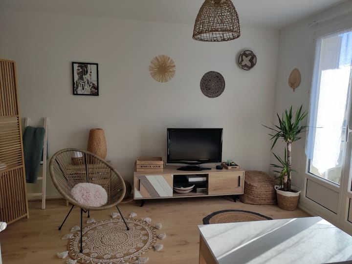 Appartement Du Chat - Meaux