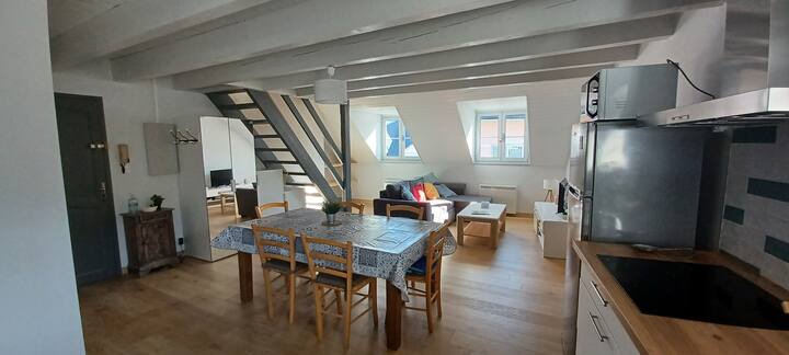 Grand Appartement En Duplex 60m², 3 éToiles - Bagnères-de-Bigorre