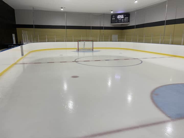 Custom Home, With Year Round Ice Hockey Rink. - Peterborough, Canadá