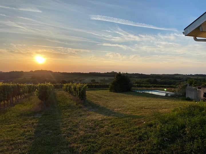 Gîte Avec Vue Sur Vignoble & Piscine - Gîte Orlane - Langon