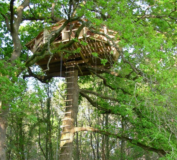 Cabane Perchée à 8/10 Mètres Nijal - Carnac