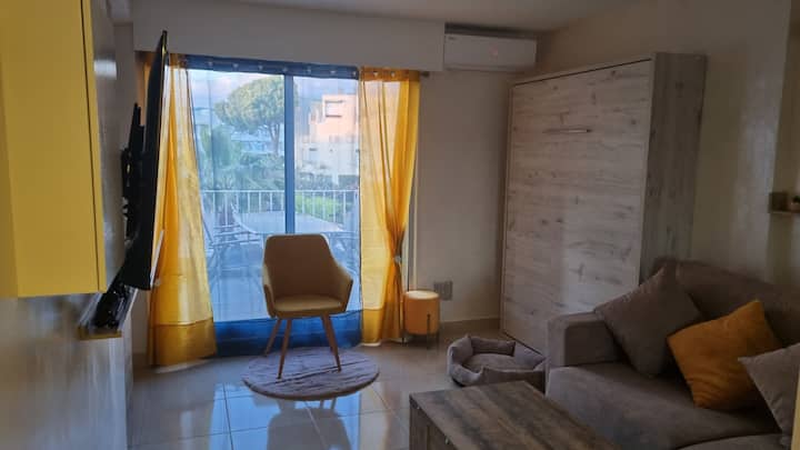 Studio Refait à Neuf Avec Parking  Privatif - Aigues-Mortes