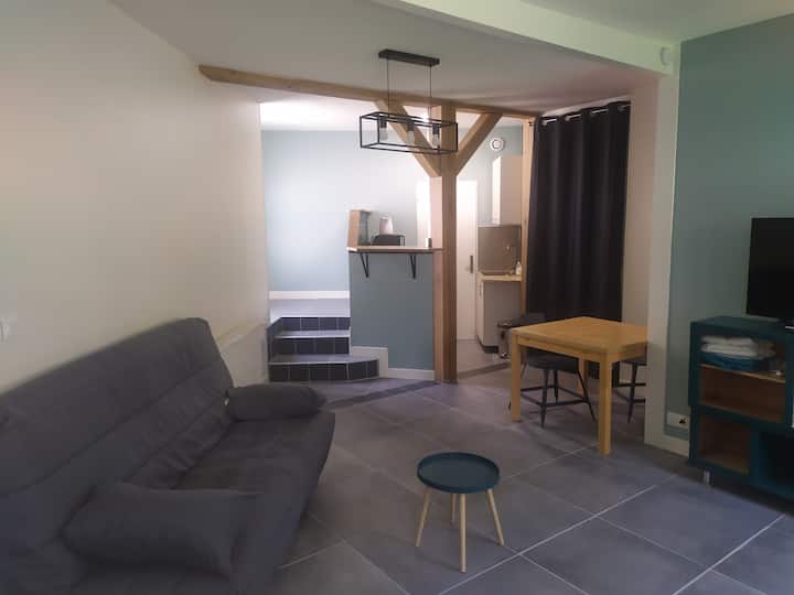 Appartement Le Mans Plein Centre - Le Mans