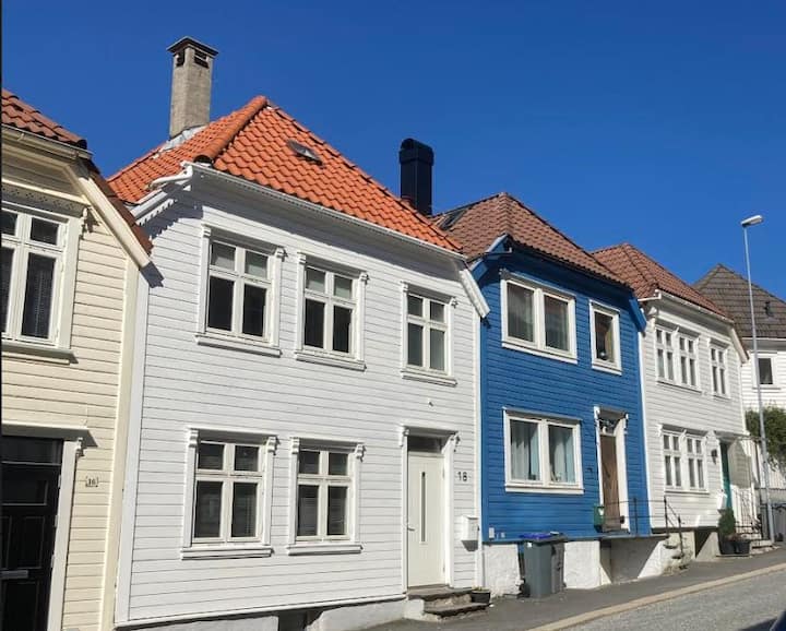 Easy Condo - Central And Peaceful - Bergen