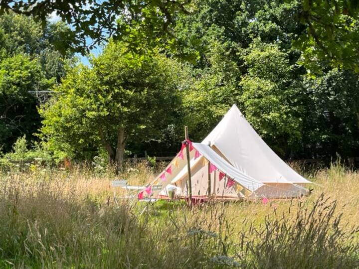 Nala - Smashing 5m Bell Tent In The New Forest - Fordingbridge