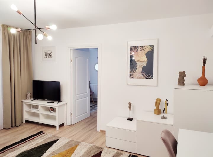 1 Bedroom Apartment - Iași