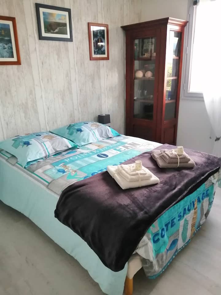 Chambre Chaleureuse A 10 Mn A Pied Du Port - Dinard