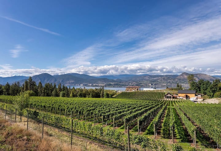 Vineyard & Lake View. Private Farmhouse. - サマーランド