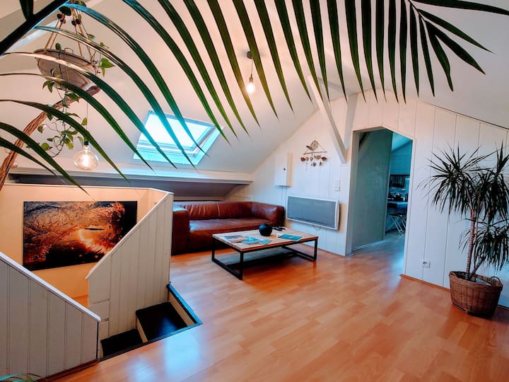 Loft Atypique Sous Les Toits, Spacieux Et Lumineux - Anglet