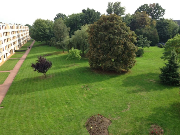 2 Bedrooms Apartment In Versailles - Jouy-en-Josas