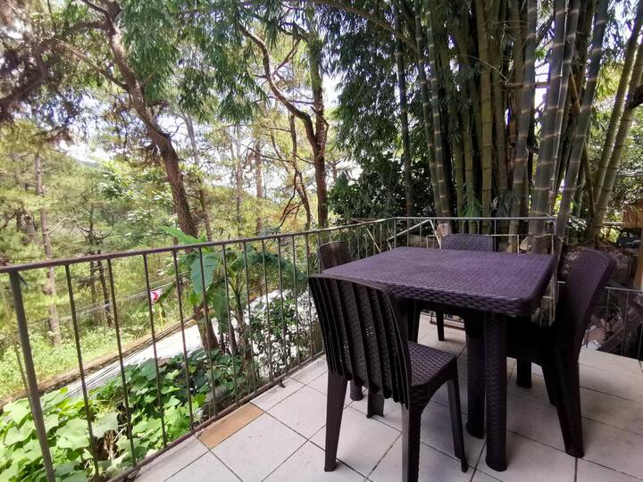1 Bedroom Unit With Workspace And Mountain View - 碧瑤市