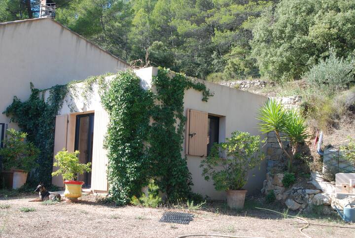 Charmant Logement Avec Patio En Pleine Campagne - Carcès