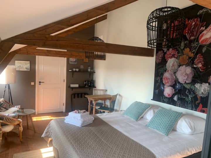 Junior Suite -Noordwijk Beach-nature-flower City - Katwijk aan Zee
