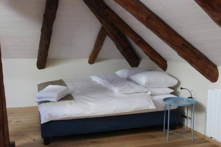 Family Suite - Losone