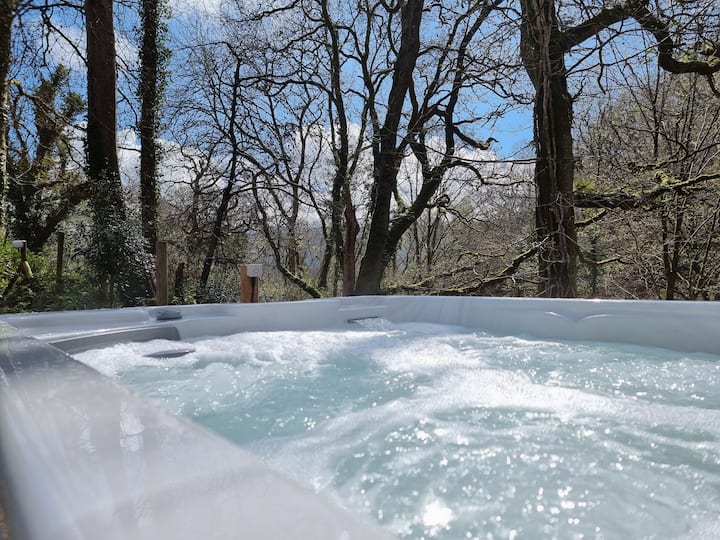 Magical Forest Nest ** Hot Tub ** Pet Friendly - Barmouth