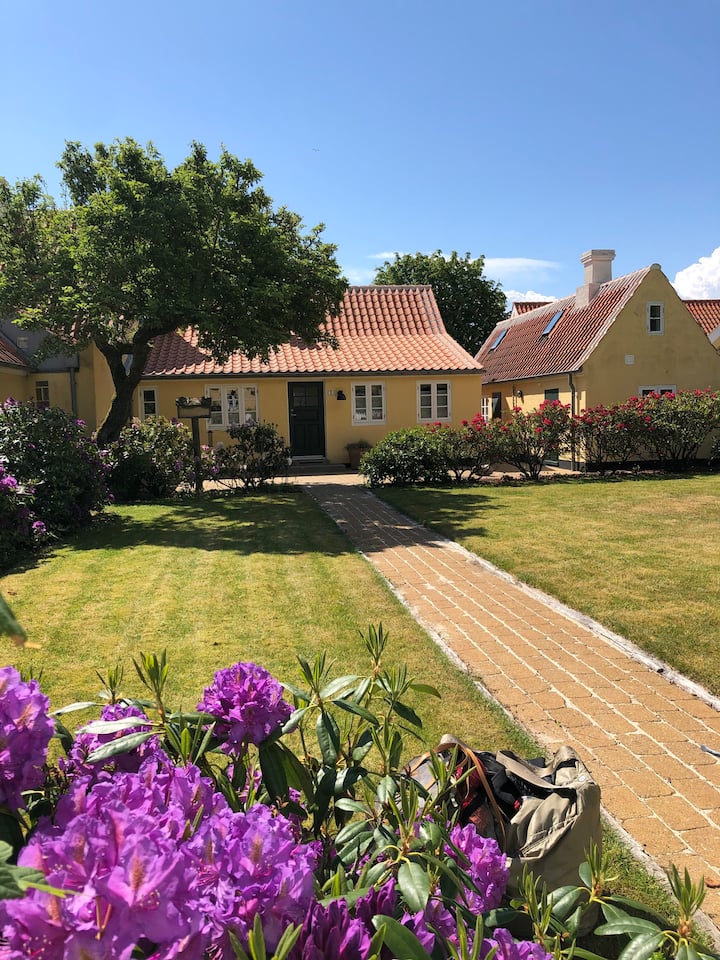 Istandsat Originalt Skagenhus I Vesterby - Skagen