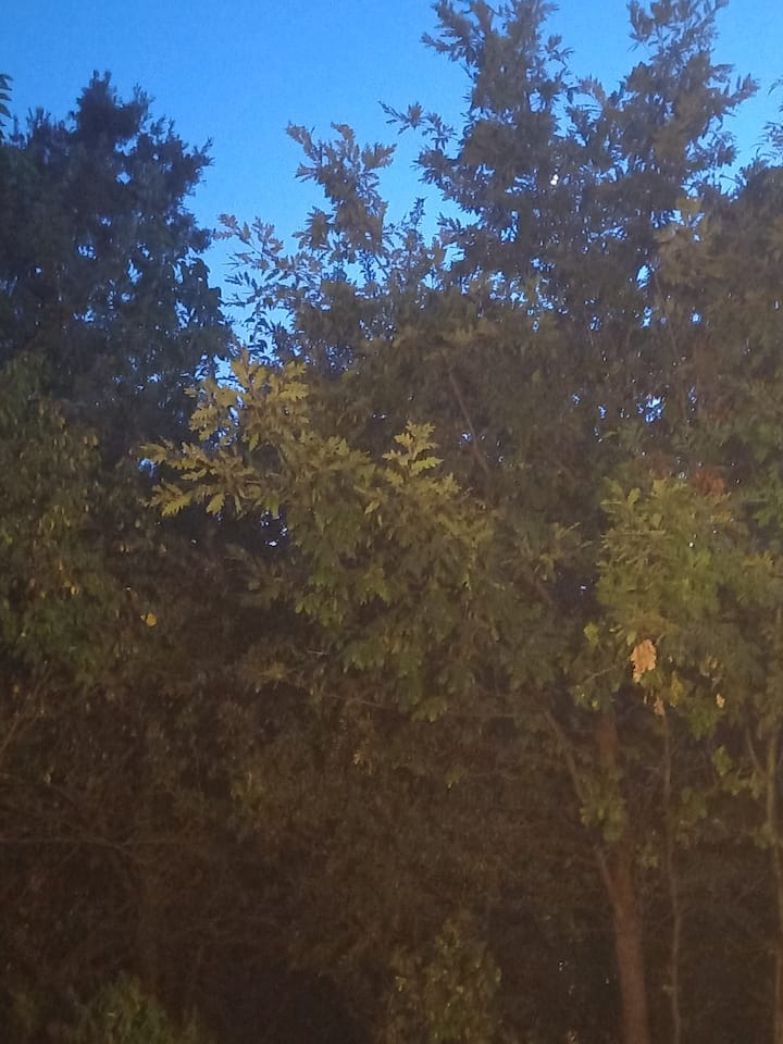 Le Dieci Querce - Sapri