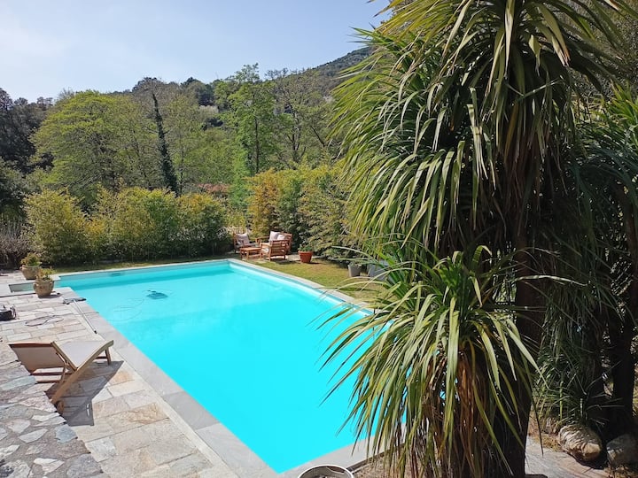 Appartement Bas De Villa T2 Avec Pisicine - Bastia