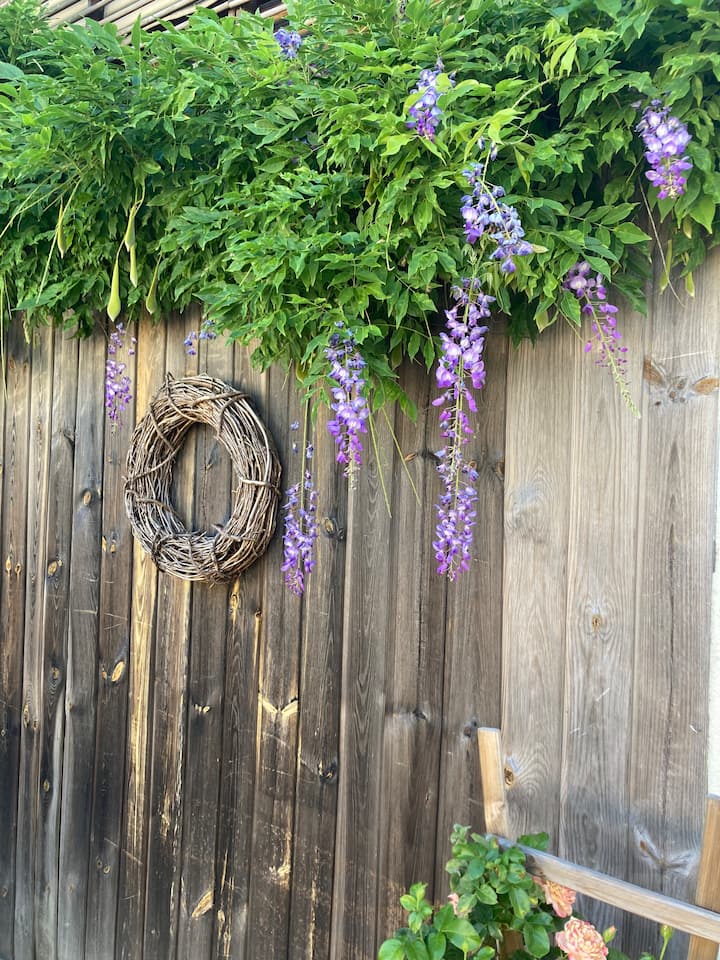 Chambre Privée Avec Petit Déjeuner - Le Mans