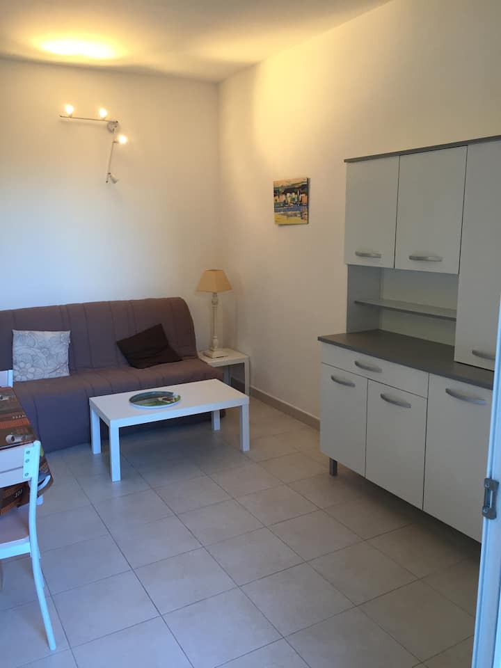 Appartement Type 2  En Rez De Jardin - Zonza