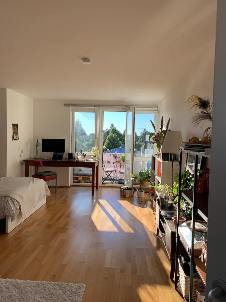 Lichtdurchflutetes Schönes Appartement - 慕尼黑