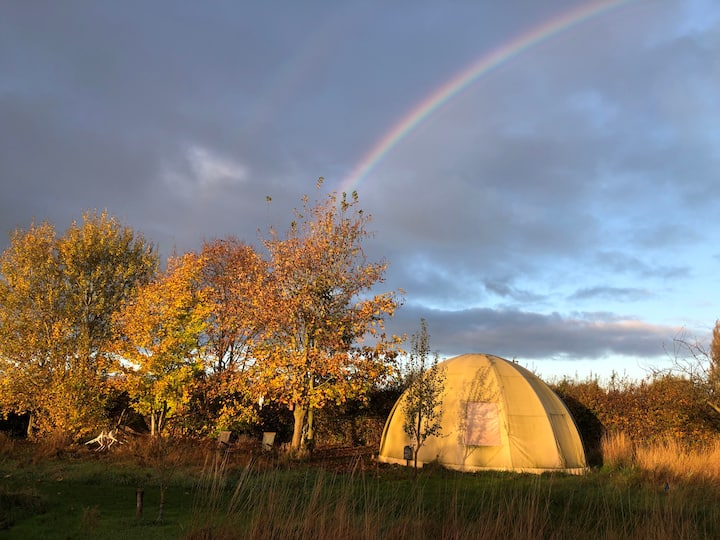 Le Wigwam De La Cense D’hortésie - Lessines