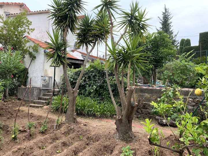 Petit Coin Cosy Sur Une Colline De La Côte - Golfe-Juan