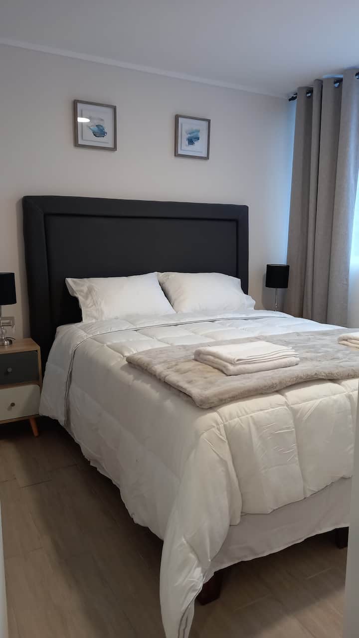 Hermoso Departamento En Santiago Centro - Santiago