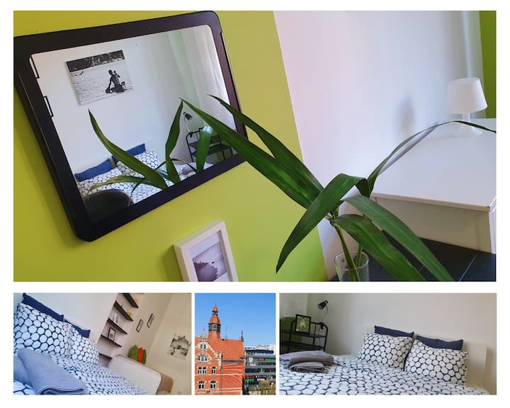 C_climatic Room With Balcony In The City Center - Katowice