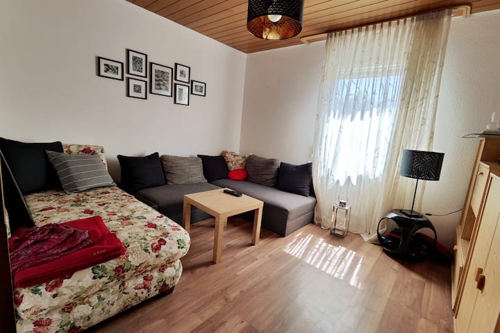 Schöne Renovierte Wohnung In Ruhiger Zentrale Lage - Friedrichshafen