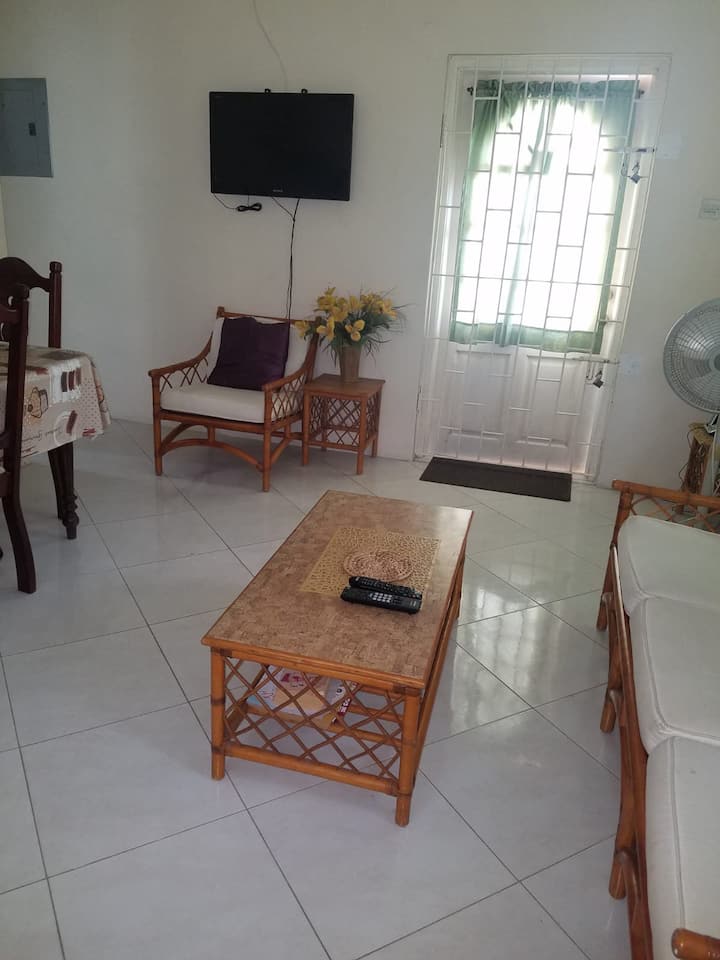 Royal Palm Apt #3 - Barbados