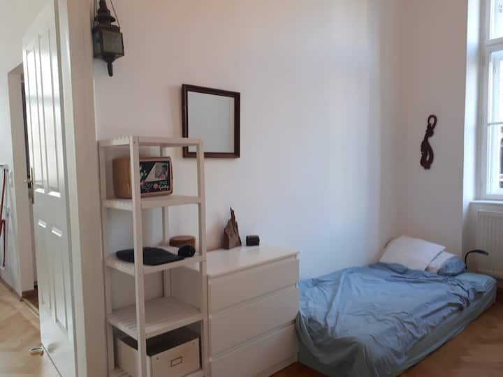Hübsches Helles, Zentrales Zimmer! Nur Für Frauen! - Wien