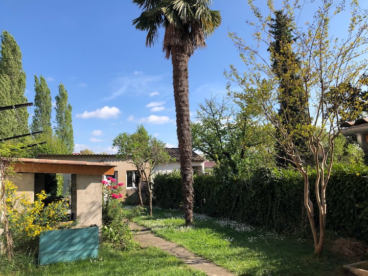 Albi, Maison Avec Cachet, Jardin Et Parking - Albi