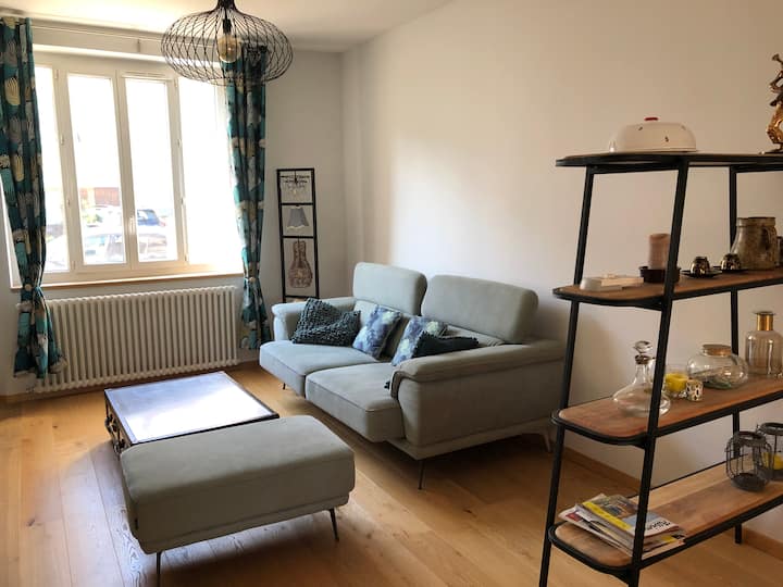 Albi, Maison Avec Cachet, Jardin Et Parking - Albi
