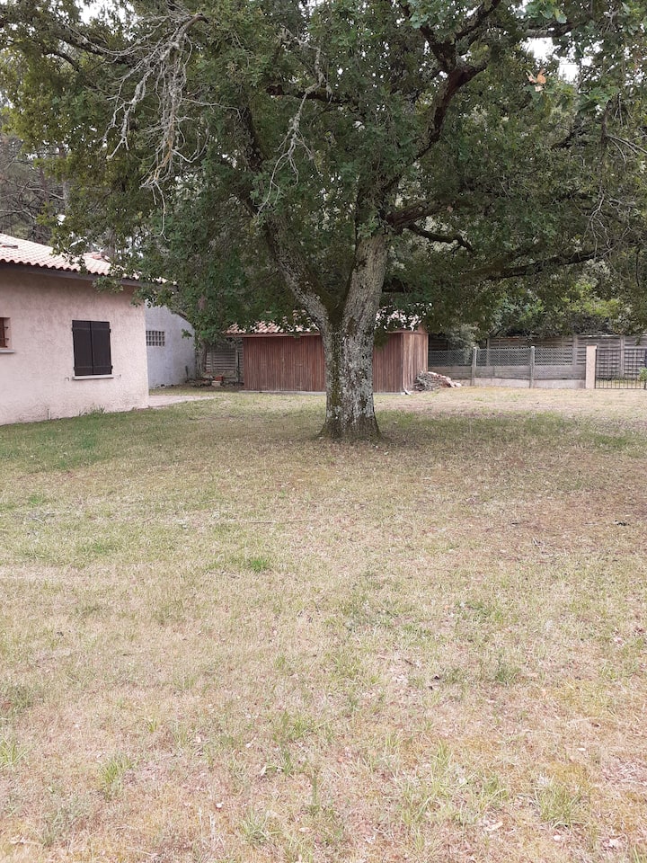 Le Huga (Commune De Lacanau) Maison Individuelle - Maubuisson