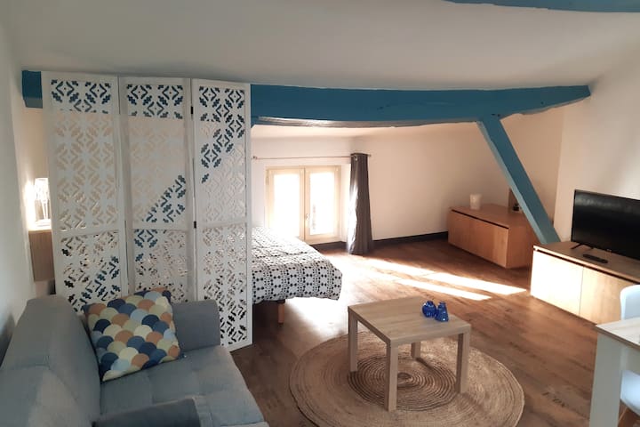 Charmant Studio Saphir Atypique Et Lumineux - Albi