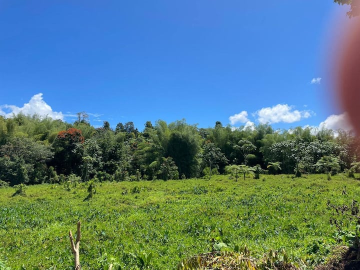 San Lorenzo Camp – Finca 12 Cuerdas /12 Acres Camp - Porto Rico