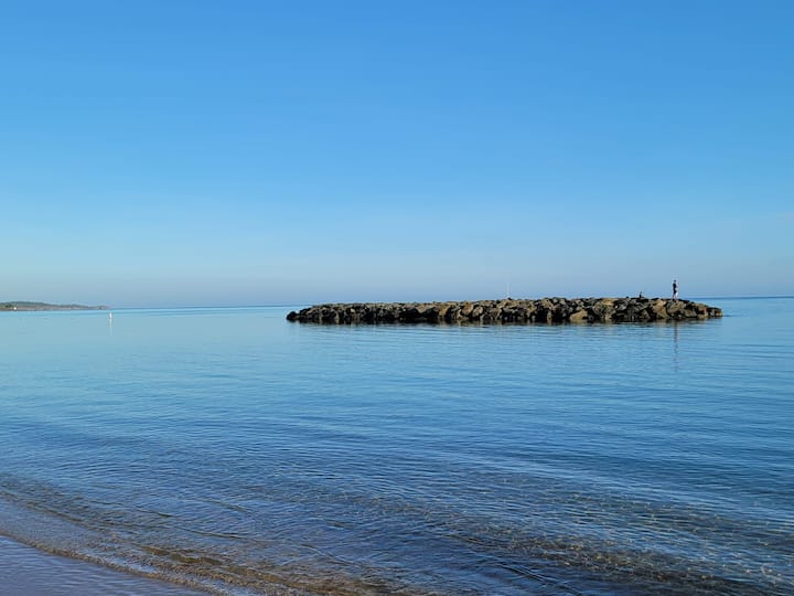 Treasure In Dorado - Dorado