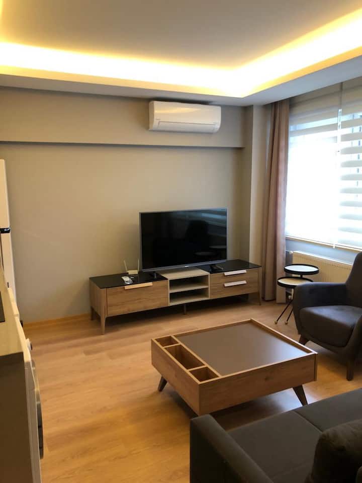 Fully Furnished Luxury House In City Centre 10 - Beykoz