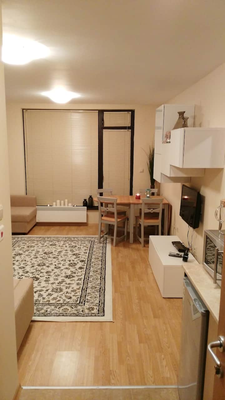 Studio Apartment For Ski/sun Retreats - Dobarsko