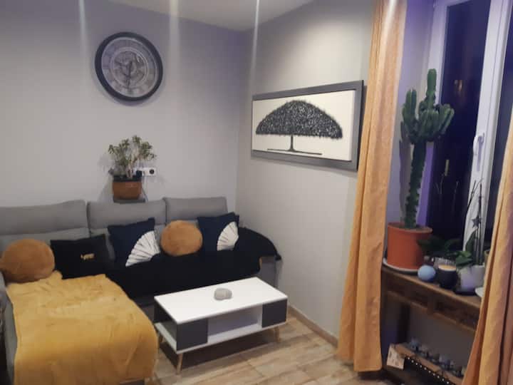 Antibes Centre Superbe Appartement - Antibes