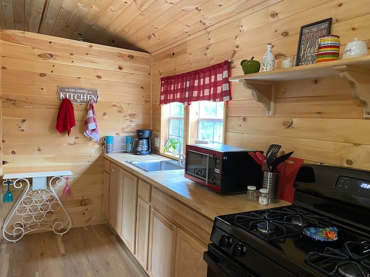 Cute & Cozy 1 Bedroom Cabin With Patio & Firepit! - Hesperia, MI