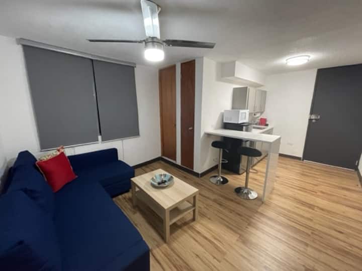 Beautiful Modern Apartment 4 - San Juan, Puerto Rico