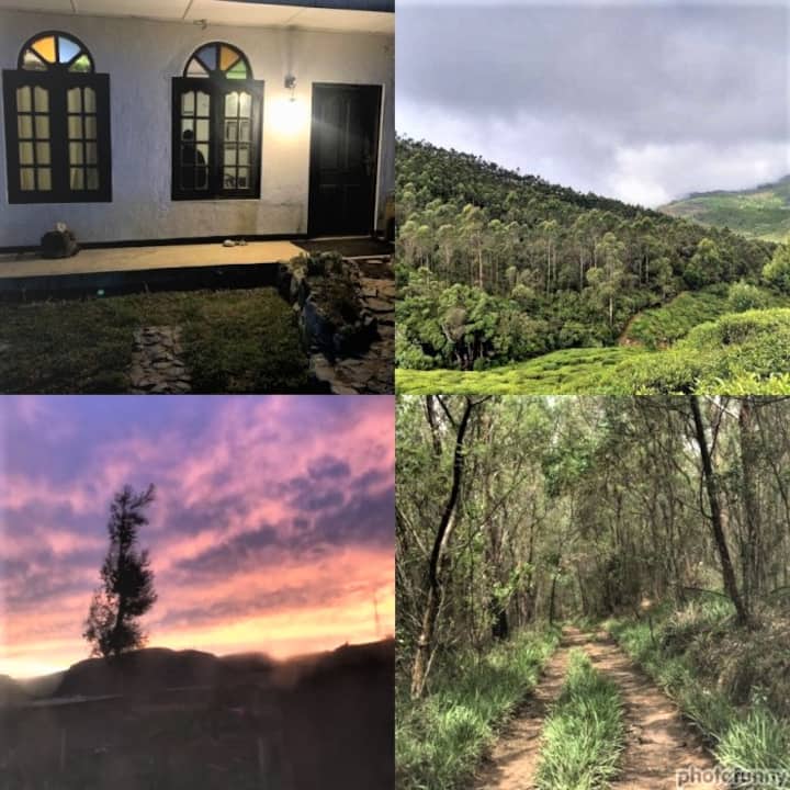 The Hill Cottage-mountain Trail / Tea Estates - 누와라 엘리야