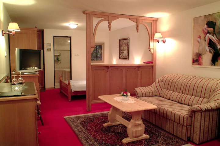 Traditional Room, Smart Tv, Close To Centrum - Bratislava